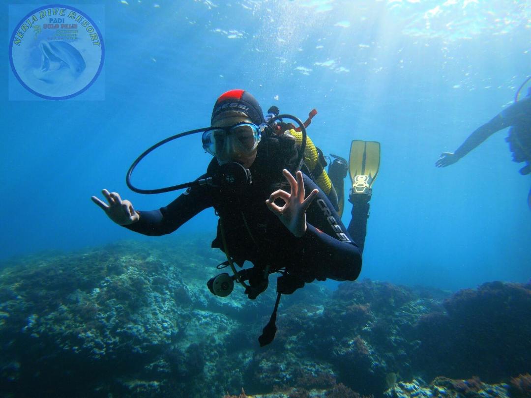 PADI Junior Open Water Diver – (Buzo de aguas abiertas Júnior) - Nerja ...